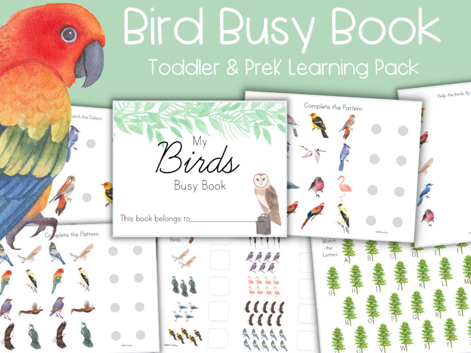 Birds Busy Book Nature Study Activity Learning Binder | Etsy