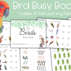 Birds Busy Book Nature Study Activity Learning Binder | Etsy