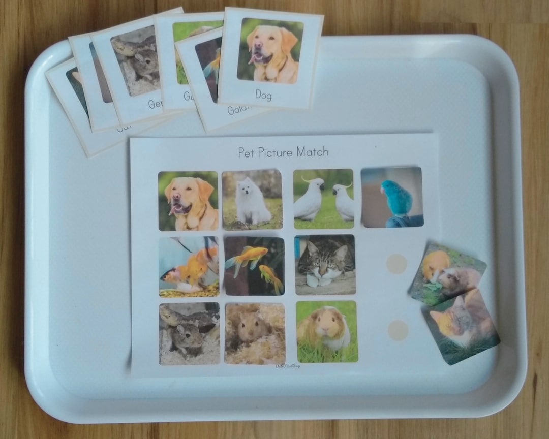 Pets Animal Matching Busy Book Binder Activity - Montessori Toddler ...