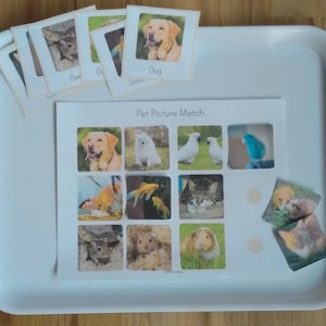 Pets Animal Matching Busy Book Binder Activity - Montessori Toddler ...