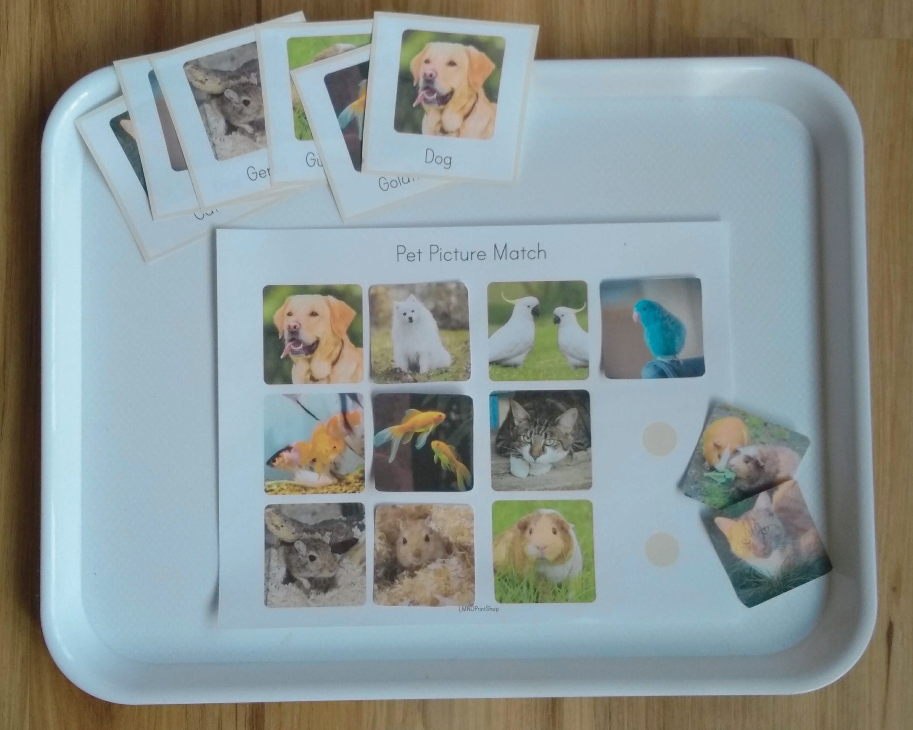 Pets Animal Matching Busy Book Binder Activity Montessori - Etsy