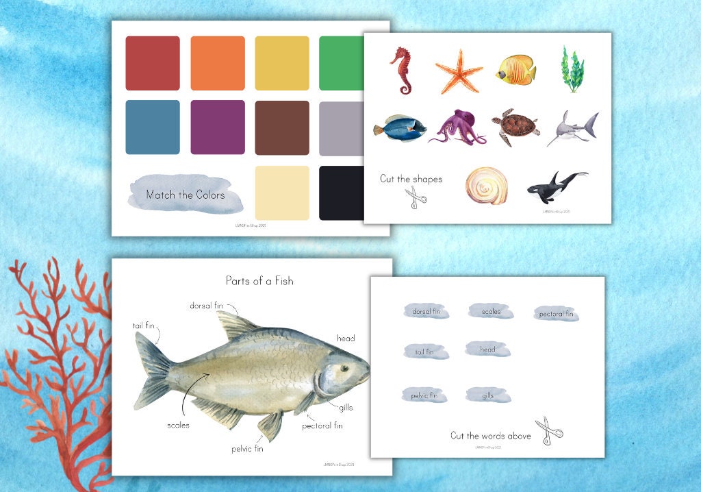 Ocean Busy Book Preschool Printable Summer Learning Binder | Etsy