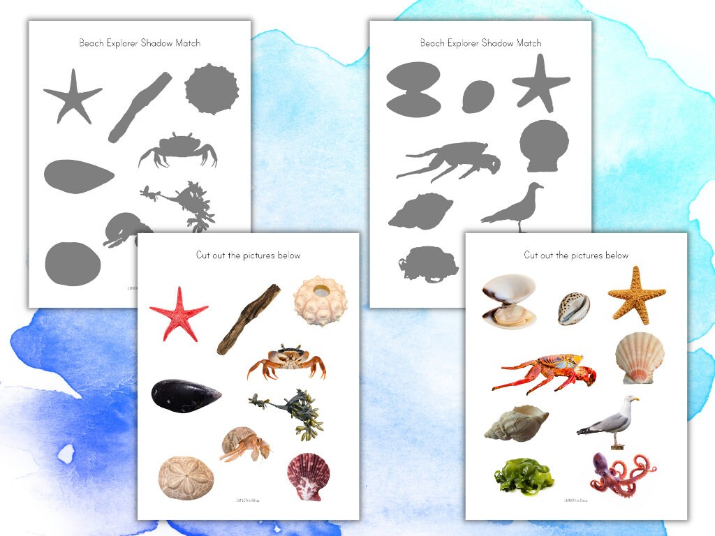 Beach Tide Pool Shadow Matching - Busy Book Binder Activity Printable ...