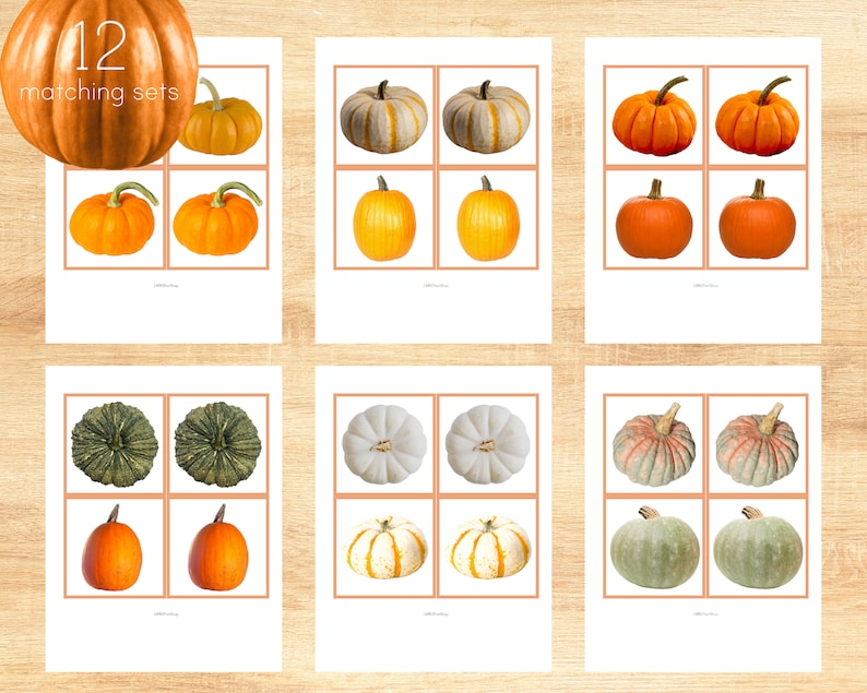Pumpkin Matching Cards - Preschool Montessori Activity - Kindergarten ...
