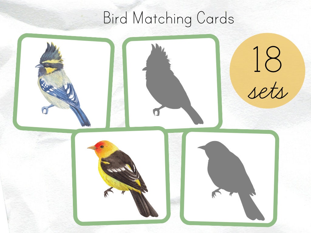 Bird Shadow Matching Cards Busy Bag Activity Preschool | Etsy