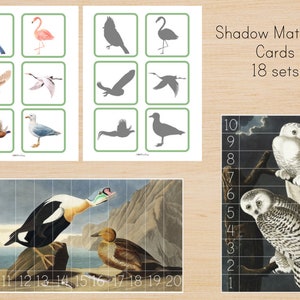 Birds Activity Bundle - Worksheets Busy Book Bag - Spring Nature Study ...