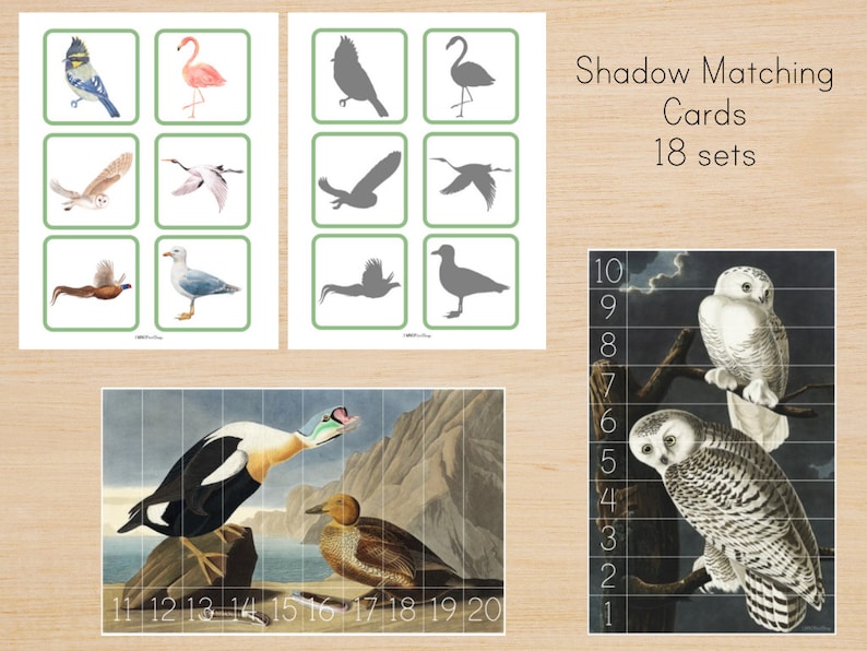 Birds Activity Bundle Worksheets Busy Book Bag Spring - Etsy