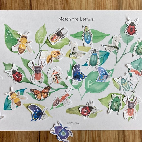 Alphabet Letter Matching Busy Book Binder Page Bug Insect - Etsy