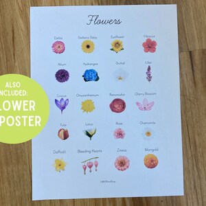 Flower Shadow Matching AND Symmetry Cards Set - Montessori Activity ...