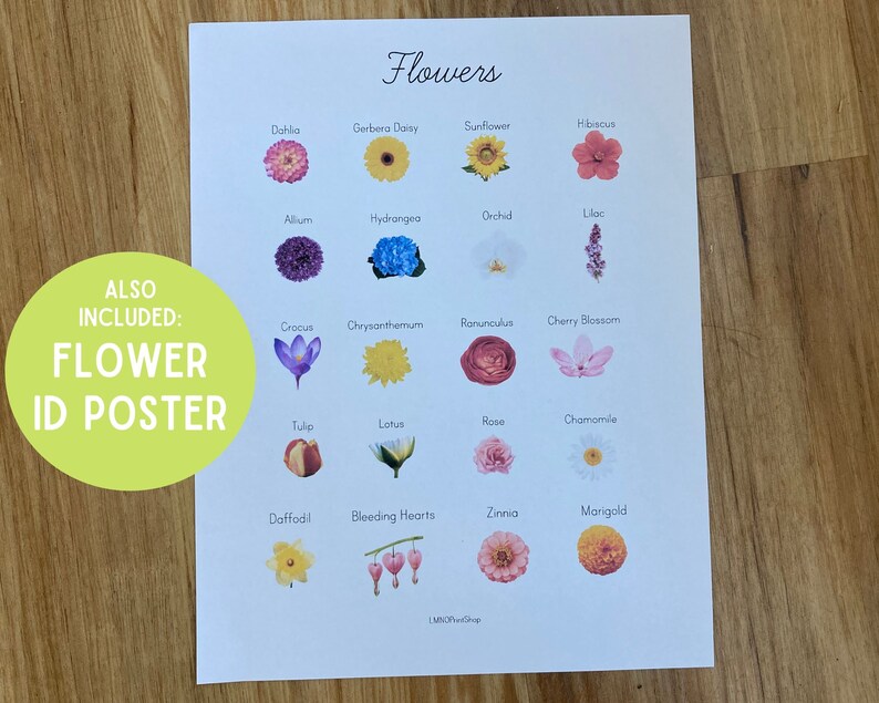 Flower Shadow Matching AND Symmetry Cards Set - Montessori Activity ...