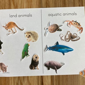 Land Animals Ocean Aquatic Mammals Birds Fish Sorting - Life Skills ...