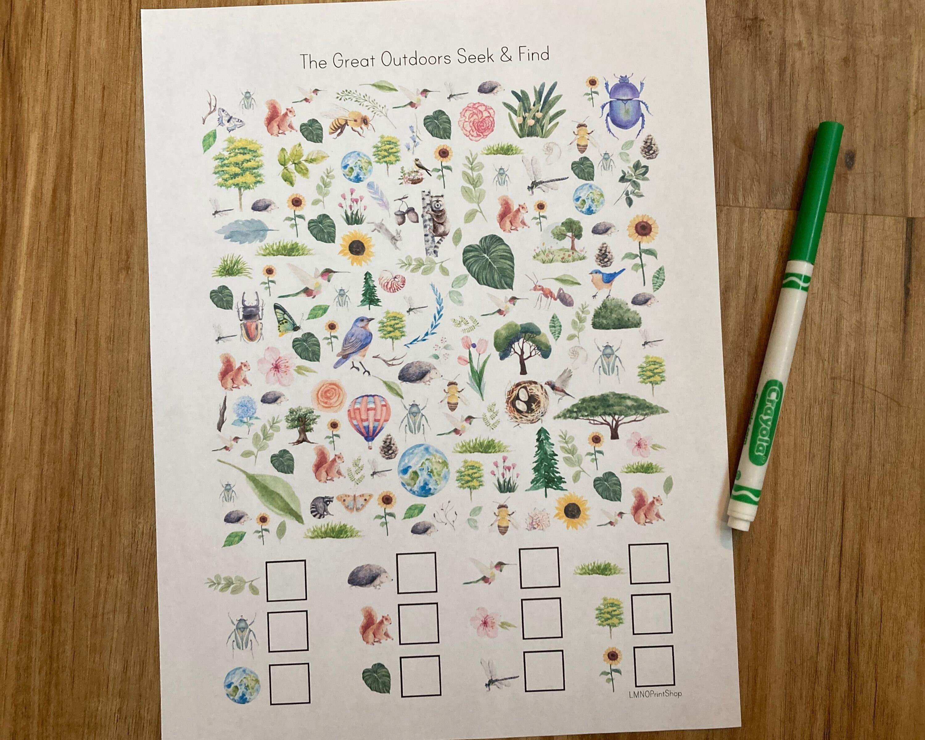 Nature Spring Summer Ispy Seek & Find Counting Worksheet | Etsy