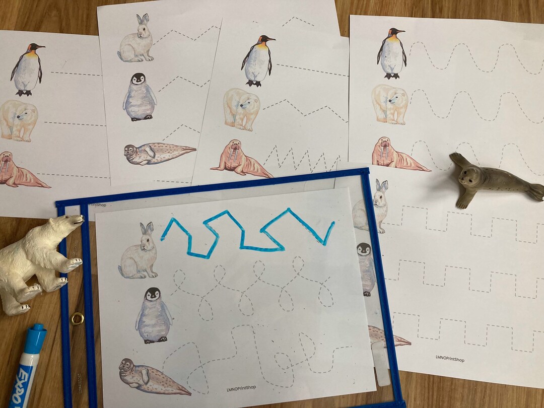 Arctic Animals PRE-WRITING Line Tracing Bundle Worksheets - Toddler ...