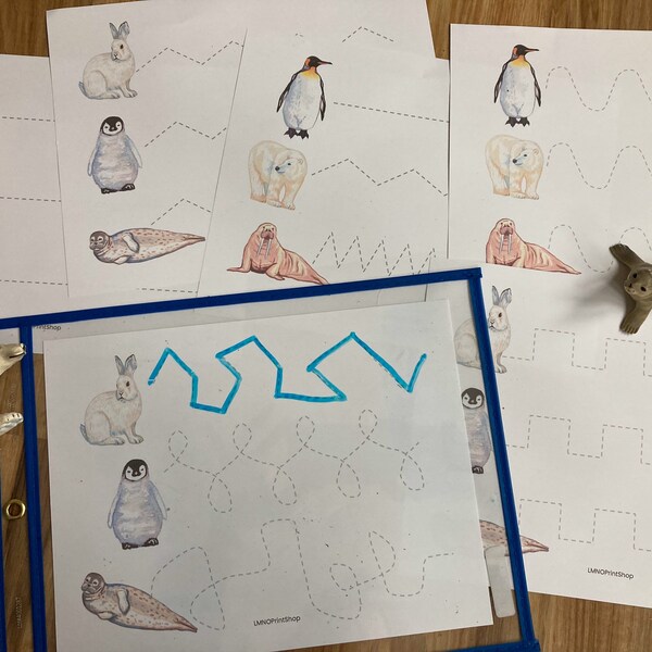 Arctic Worksheets - Etsy