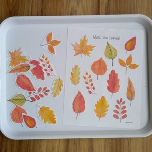 Fall Autumn Learning Binder - Preschool Busy Book - Letter Matching ...