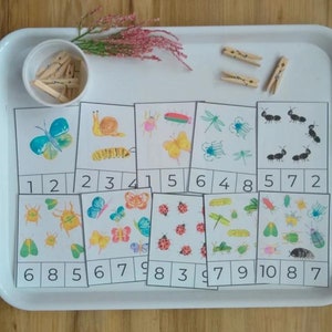 BUG Learning Bundle - Insect Math Counting - Preschool Printable - Busy ...