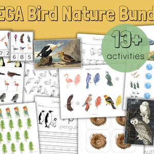 Birds Activity Bundle Worksheets Busy Book Bag Spring | Etsy