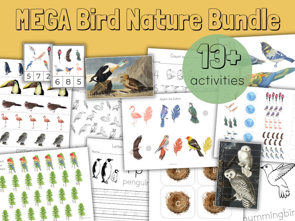 Birds Activity Bundle Worksheets Busy Book Bag Spring | Etsy
