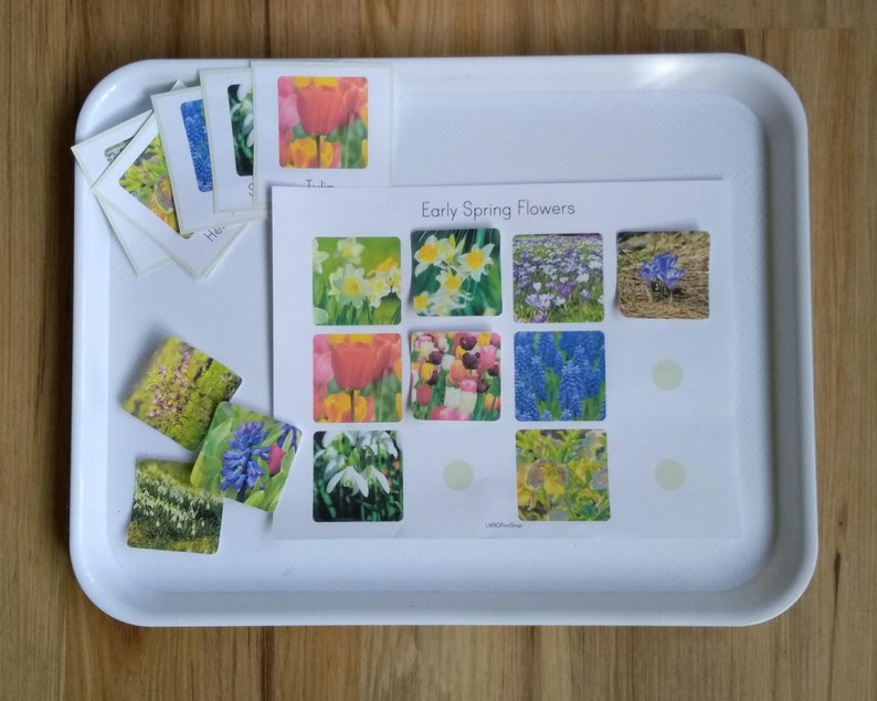 Early Spring Flowers MATCHING Busy Book Learning Binder Activity Page ...
