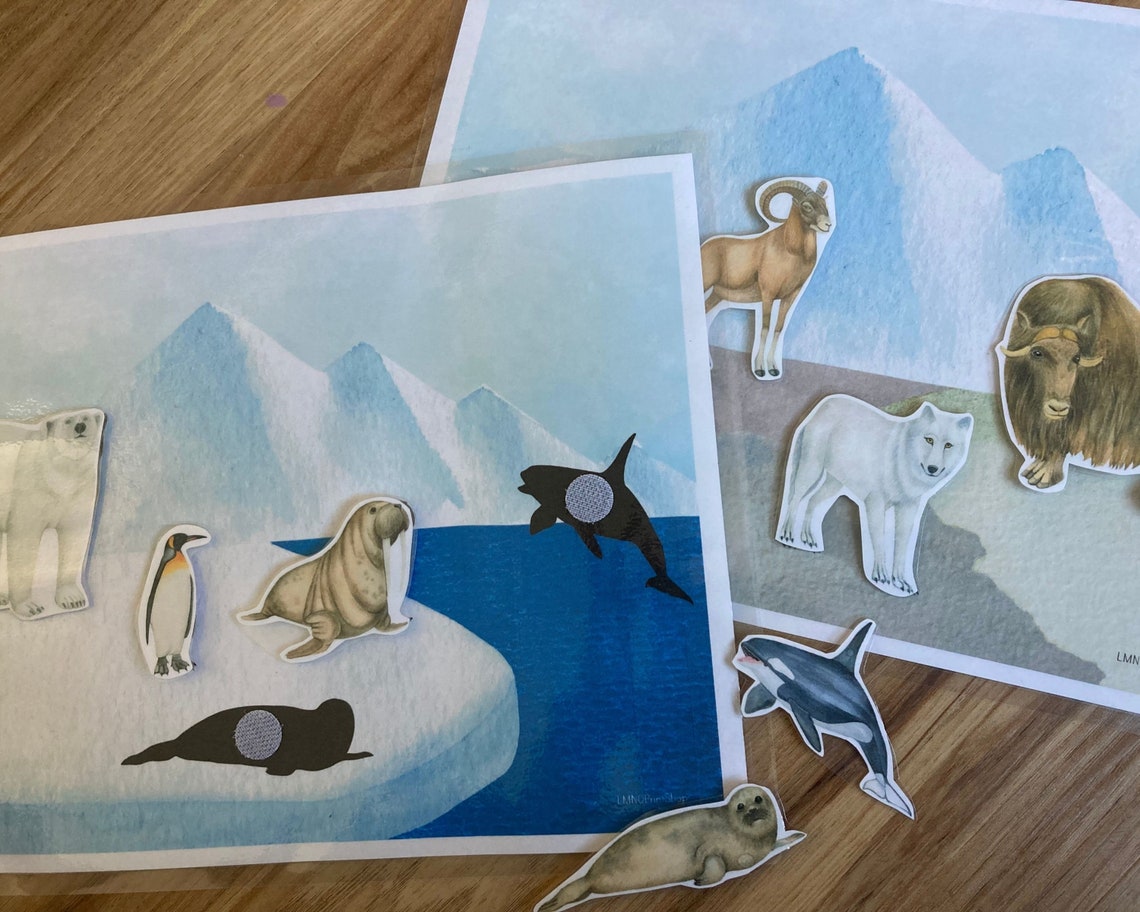 Arctic Animal Shadow Matching - Polar Printable Learning Binder ...