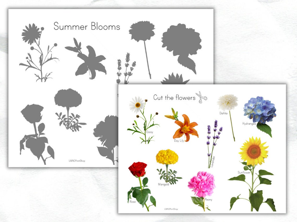 Summer Flowers Shadow Matching - Busy Book Printable Activity - Toddler ...