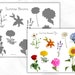 Summer Flowers Shadow Matching - Busy Book Printable Activity - Toddler ...