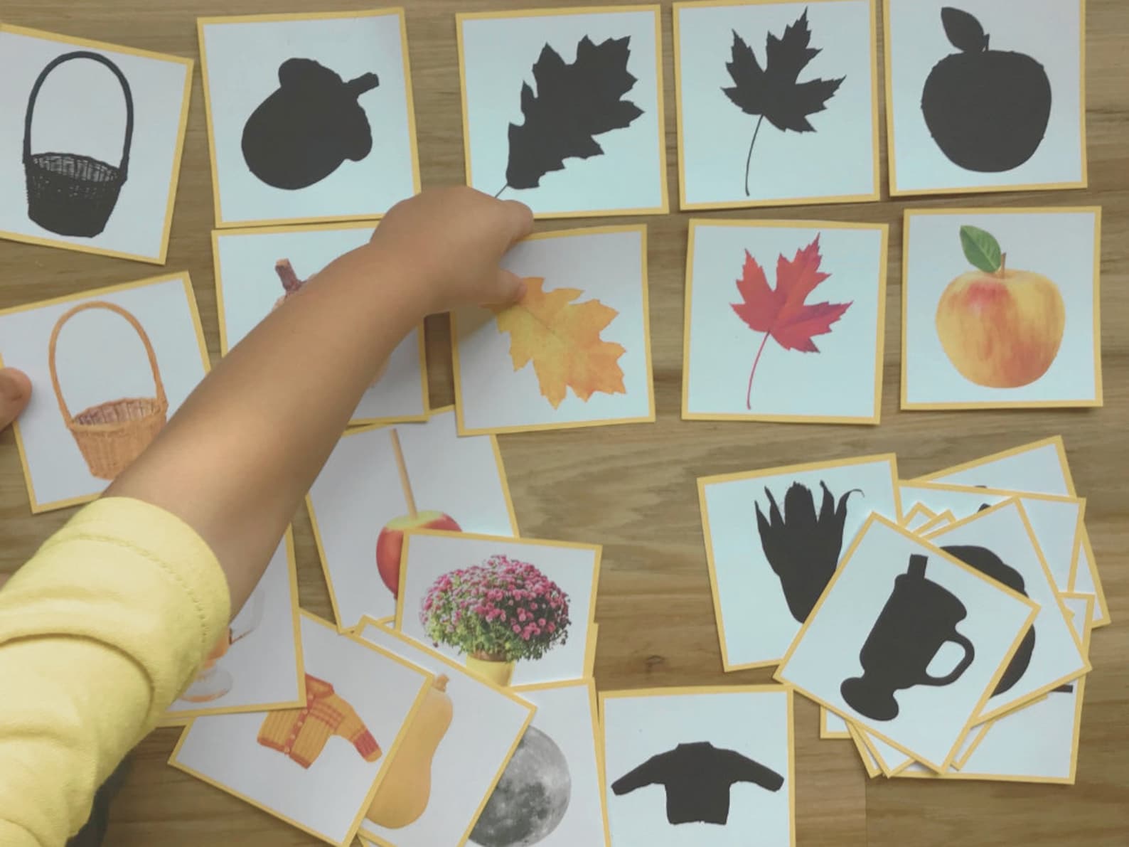 Fall Autumn Shadow Matching Cards Montessori Printable - Etsy