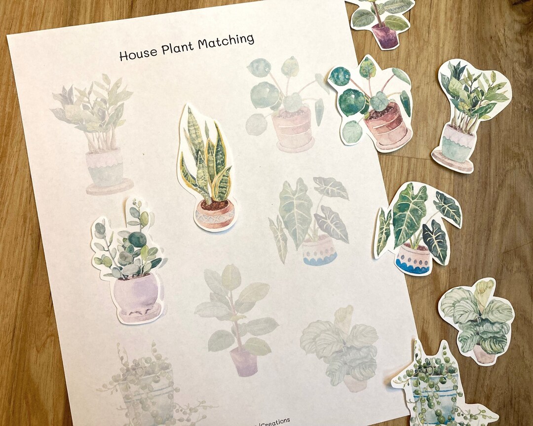 Plant Leaves Nature Busy Book Learning Binder Matching Activity Page ...