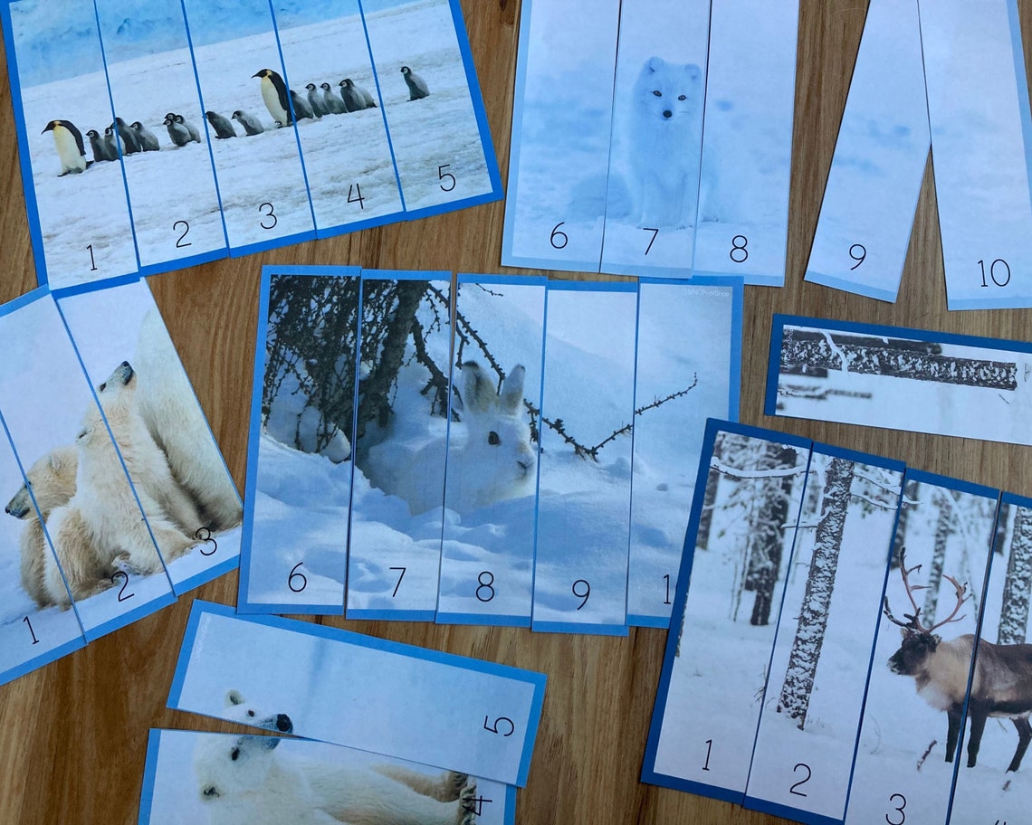 Arctic Animal Counting Puzzles - 1-10 Number Order Printable - Cold ...