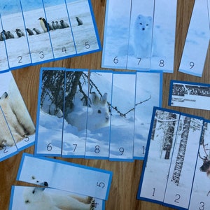 Arctic Animal Counting Puzzles - 1-10 Number Order Printable - Cold ...