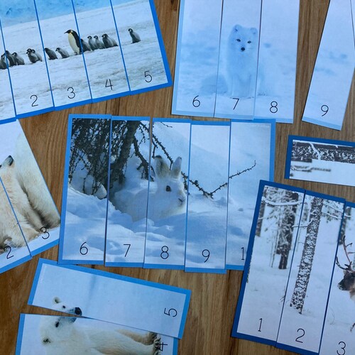 Arctic Animal Counting Puzzles 1-10 Number Order Printable - Etsy