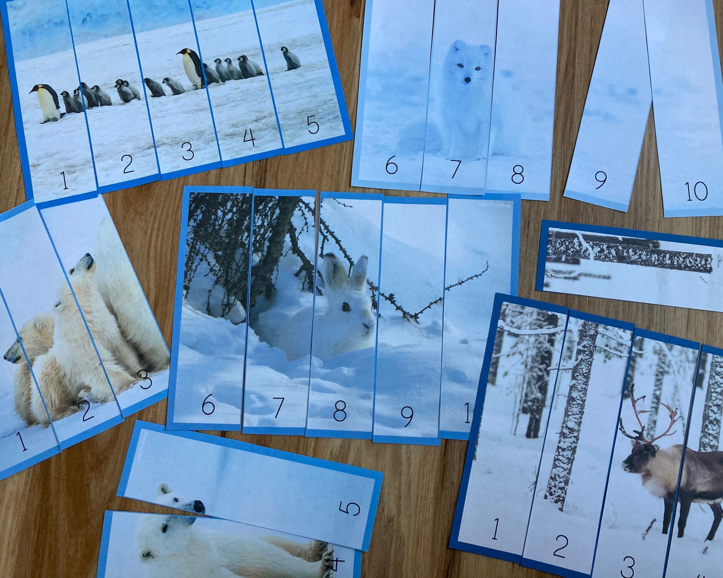 Arctic Animal Counting Puzzles - 1-10 Number Order Printable - Cold ...