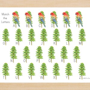 Birds Busy Book - Nature Study Activity - Learning Binder Tracing ...