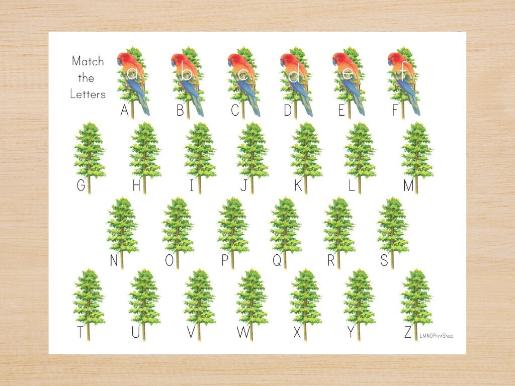 Birds Busy Book Nature Study Activity Learning Binder - Etsy