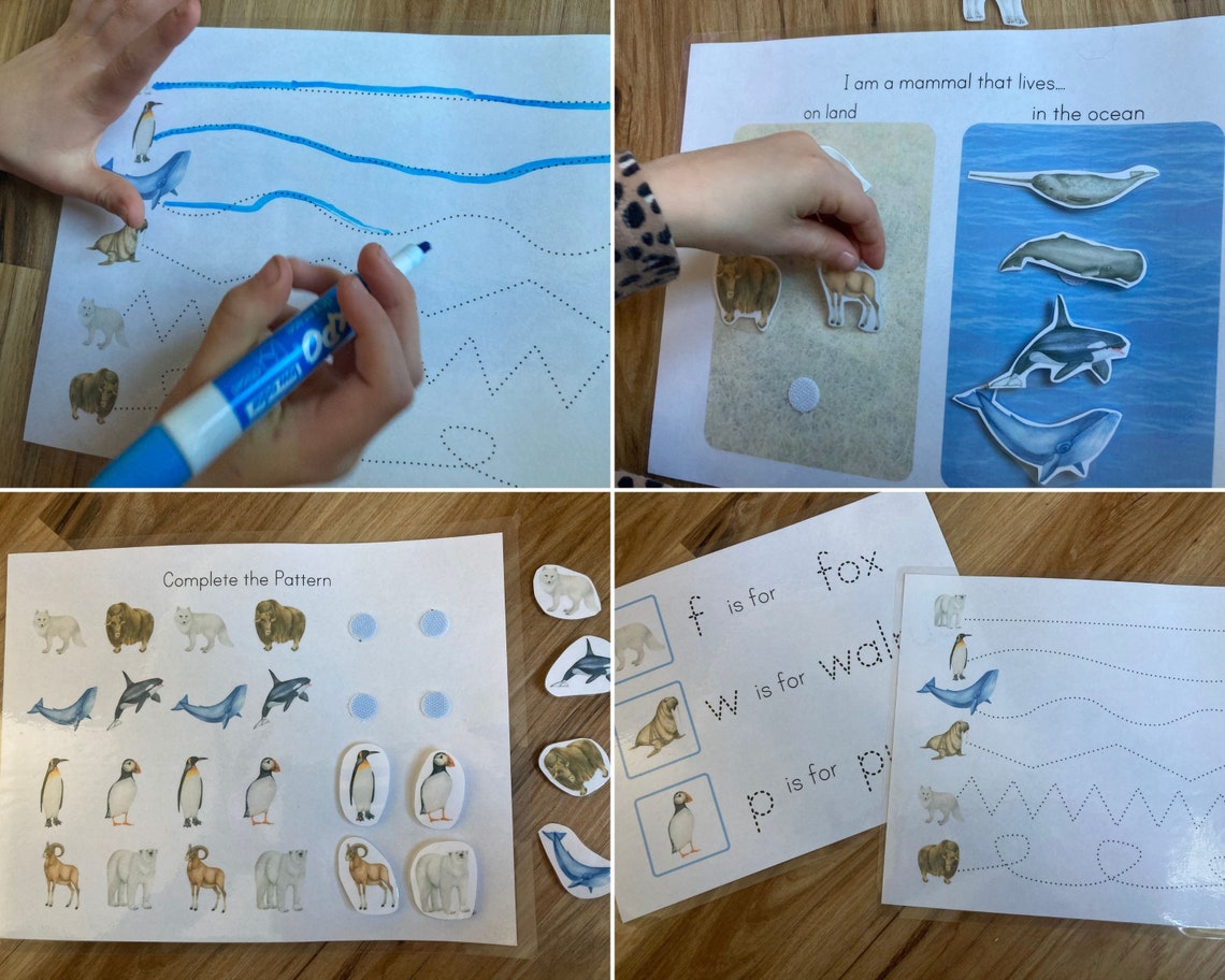 Arctic Polar Animals Printable Busy Book Winter Learning - Etsy