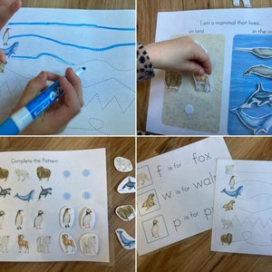 Arctic Polar Animals - Printable Busy Book - Winter Learning Binder ...