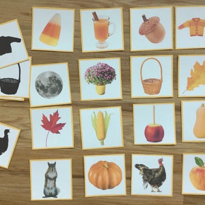 Fall Autumn Shadow Matching Cards - Montessori Printable Activity ...