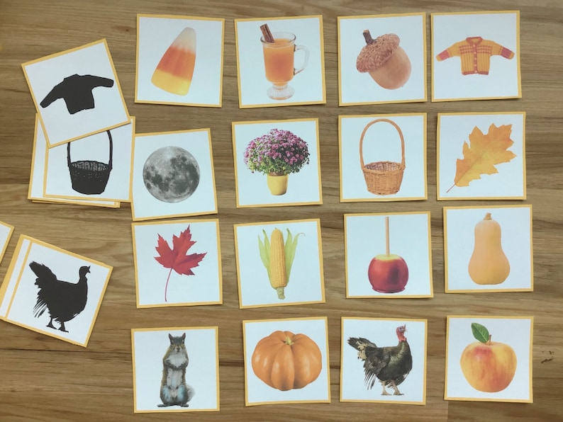 Fall Autumn Shadow Matching Cards Montessori Printable - Etsy