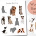 Dog Animal Shadow Matching - Busy Book Binder Bag Activity Page ...