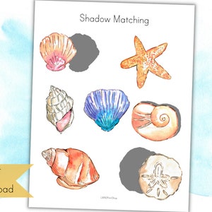 Seashell Shadow Matching Busy Binder Book Activity Page | Etsy