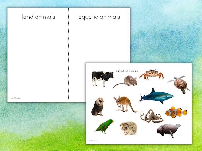 Land Animals Ocean Aquatic Mammals Birds Fish Sorting Life - Etsy