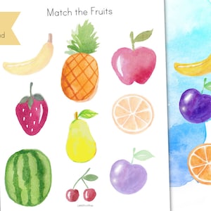 Fruit Food Matching Sorting Busy Book Bag Learning Binder | Etsy