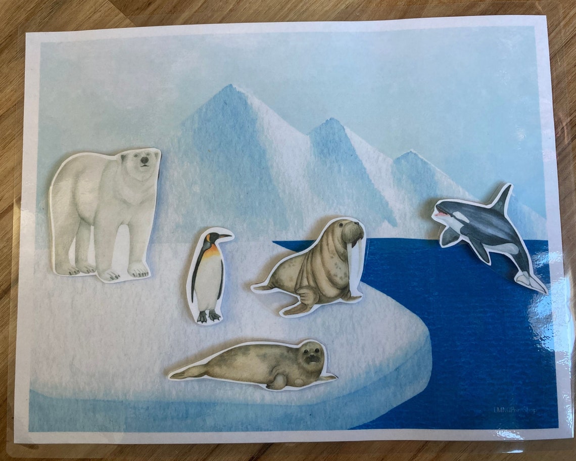 Arctic Animal Shadow Matching - Polar Printable Learning Binder ...