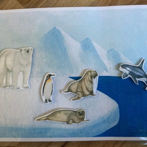 Arctic Animal Shadow Matching - Polar Printable Learning Binder ...