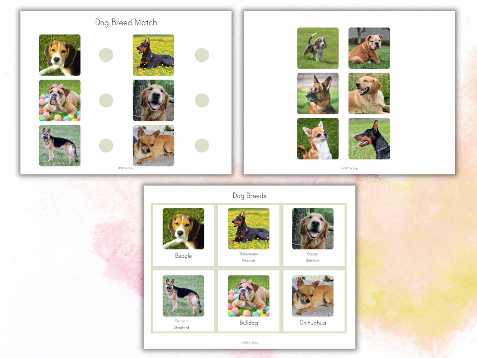 Dog Breed Matching Activity Busy Bag Toddler Preschool | Etsy