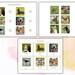 Dog Breed Matching Activity Busy Bag Toddler Preschool Kindergarten ...