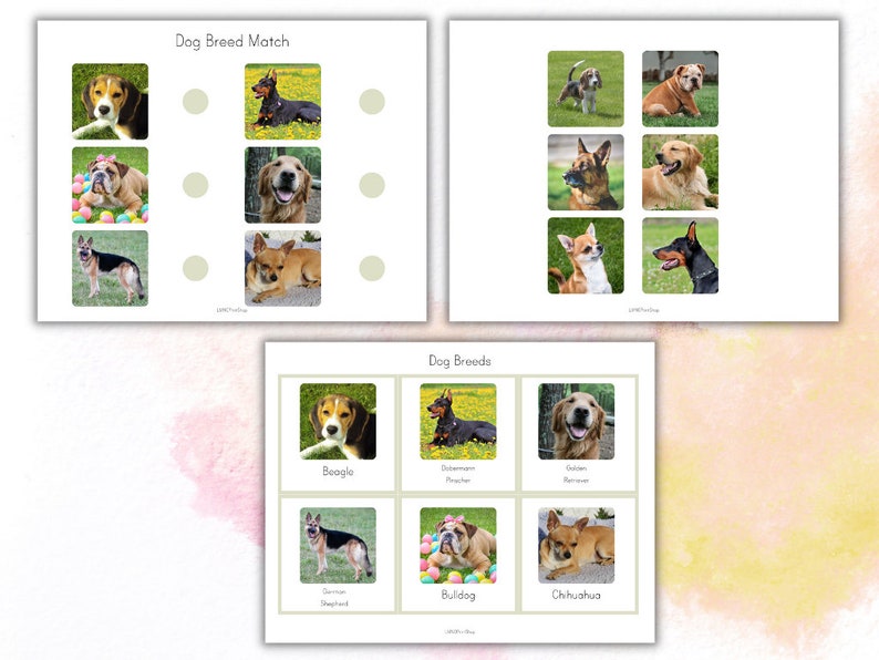 Dog Breed Matching Activity Busy Bag Toddler Preschool | Etsy