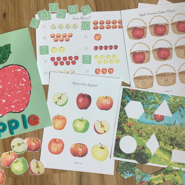 Montessori Book - Etsy