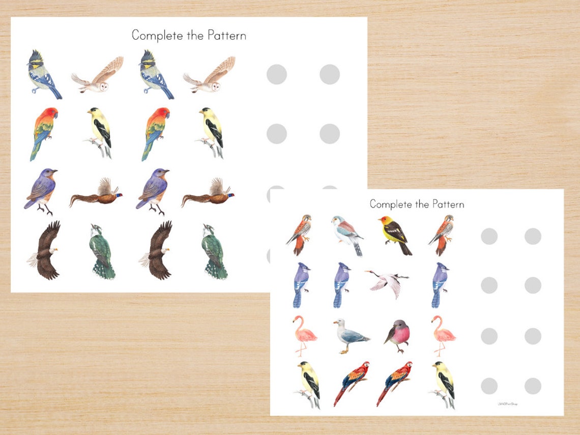 Birds Busy Book - Nature Study Activity - Learning Binder Tracing ...