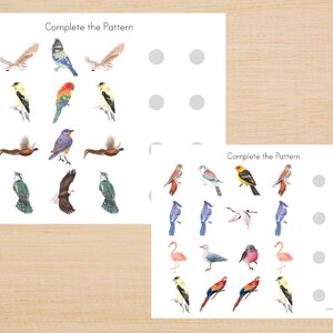 Birds Busy Book - Nature Study Activity - Learning Binder Tracing ...